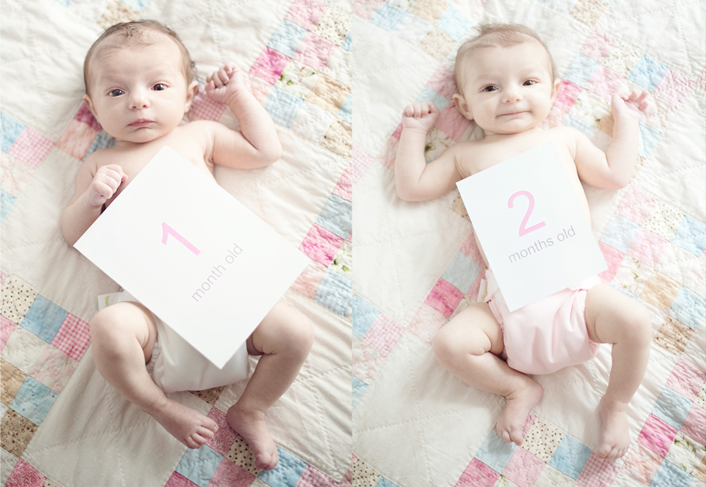 8 months old! » whole heart photography